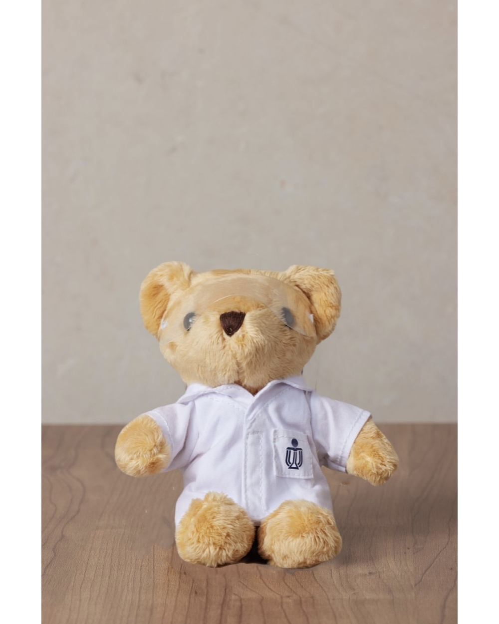 HKUST Mini Bear Key Chain - Lab Coat